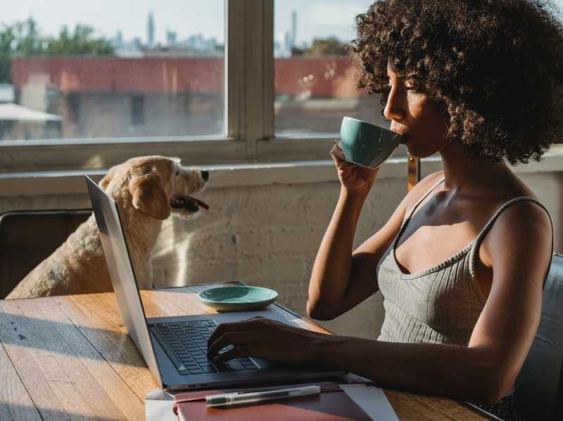 Magie der Zusammenarbeit – MS NETVANCE